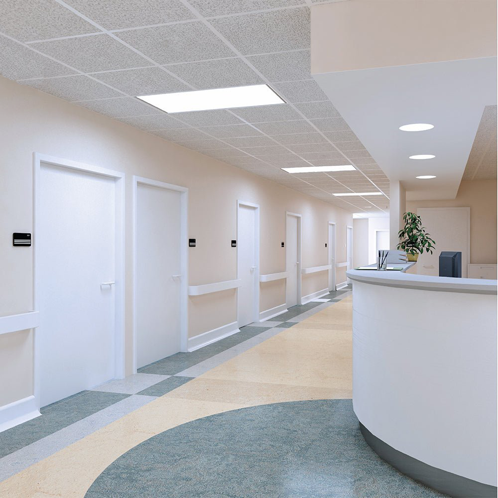 LED Color Temperature Demystified: Warm White, Cool White, or Daylight